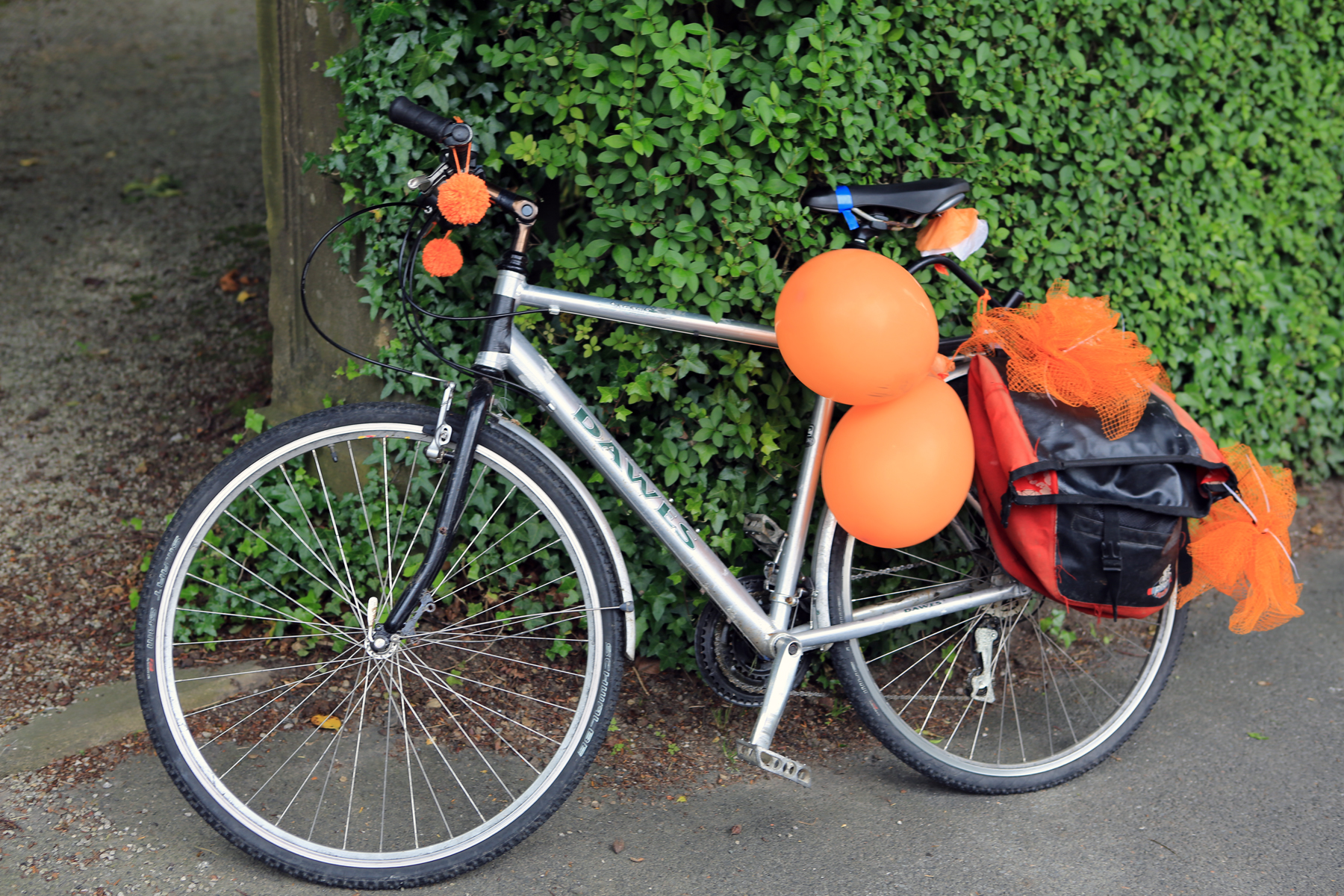 Fringe Carnival 2015 - Ian J. Parkes